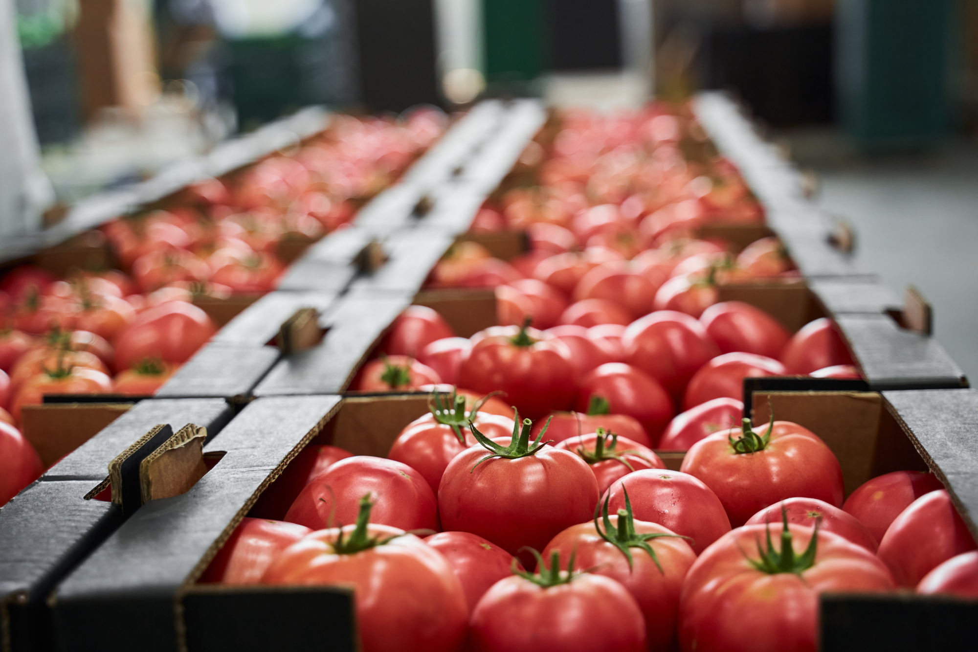 4 Questions To Ask About Your Produce Purchasing Program - Foodbuy